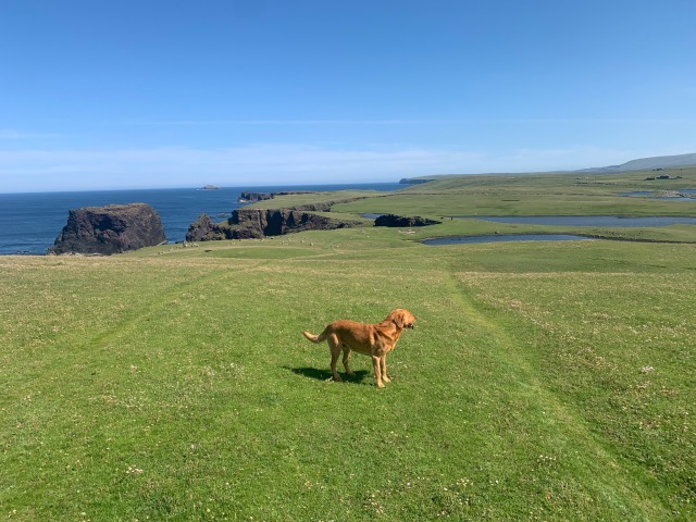 The Villains of Ure – Safe Return Doubtful