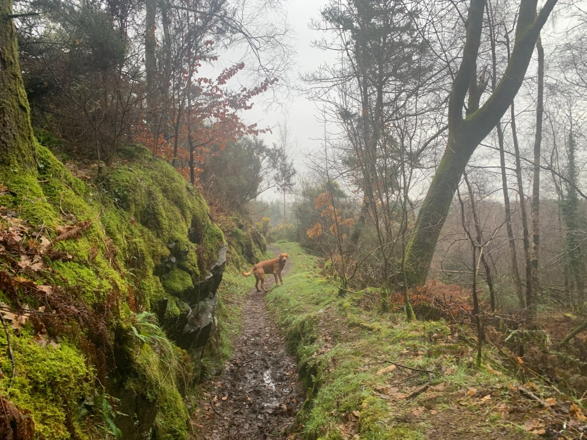 Kirroughtree – Safe Return Doubtful