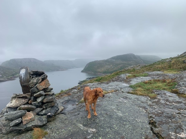 A morning with the hárr – Safe Return Doubtful