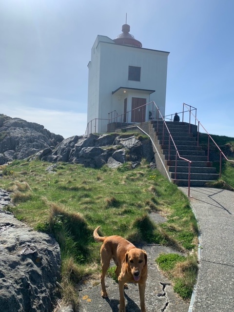 Tunnels and Lighthouses – Safe Return Doubtful