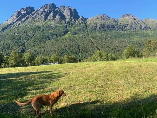 The first of the five Fingers of Senja – Safe Return Doubtful