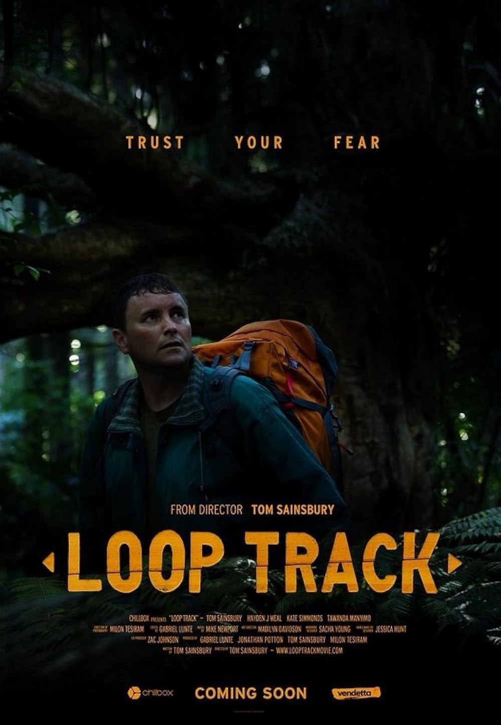 Loop Track – Safe Return Doubtful