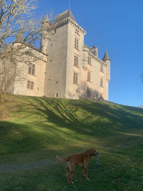 Sédières Castle – Safe Return Doubtful